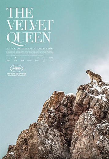 The Velvet Queen - Rialto Cinemas